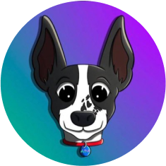 Solcex - The first Centralized Exchange launched on Solana