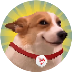 Solcex - The first Centralized Exchange launched on Solana